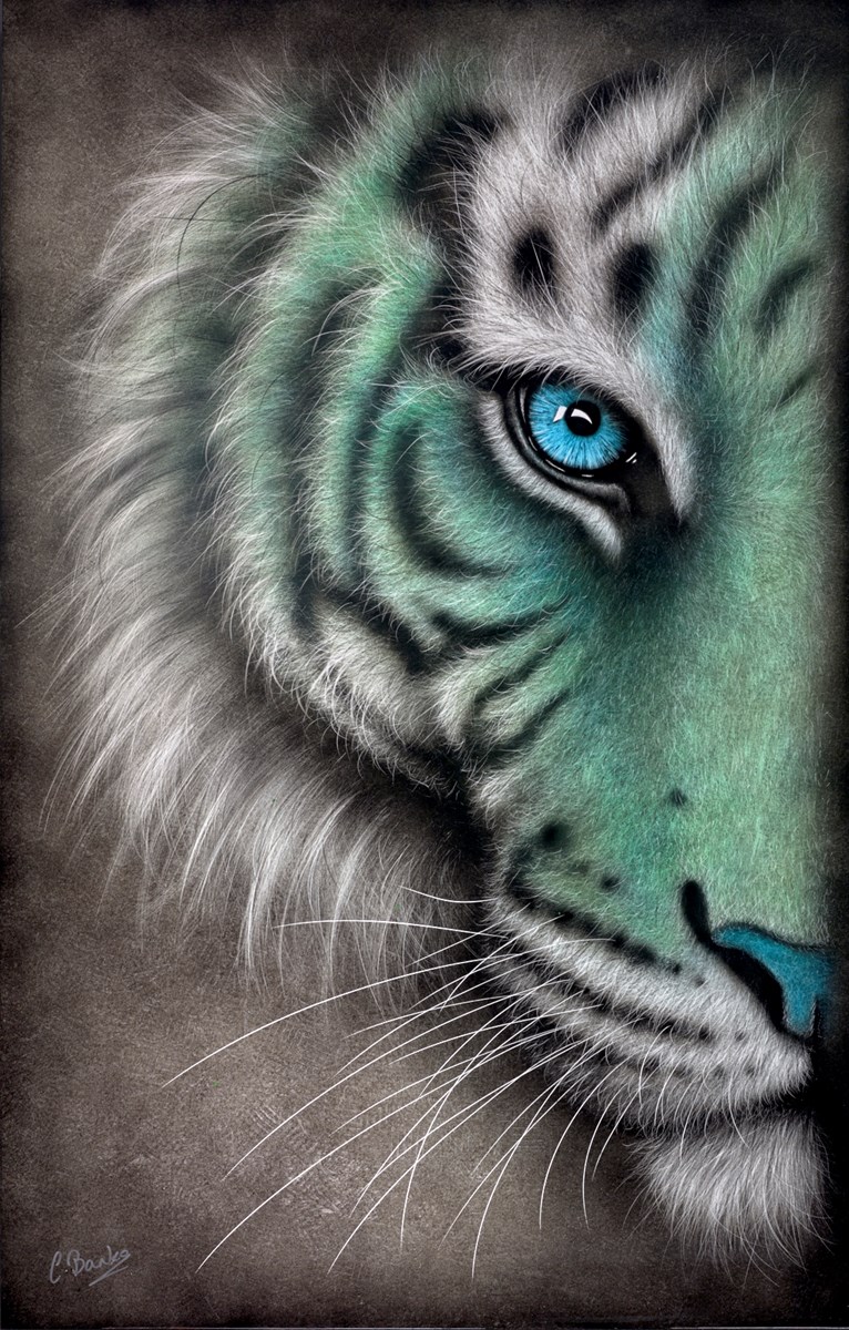 Colin Banks | DeMontfort Fine Art